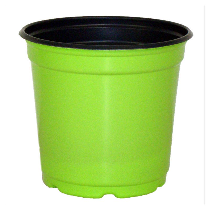 5" Taller Gloss Tropical Green Flower Pot